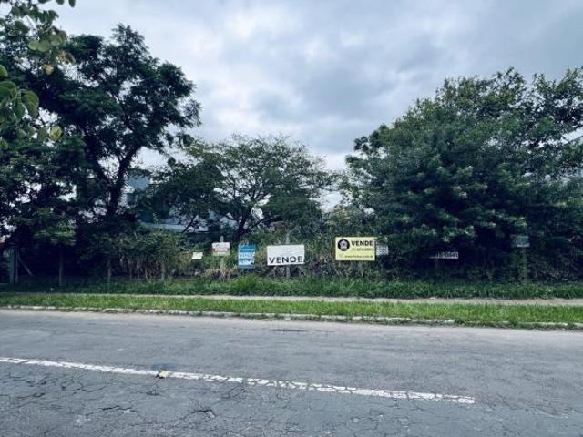 Dois terrenos em Av movimentada do Bairro Scharlau !
