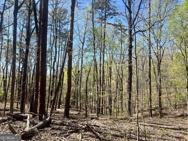 Doll Mountain Rd Lot 93, Ellijay, GA 30540