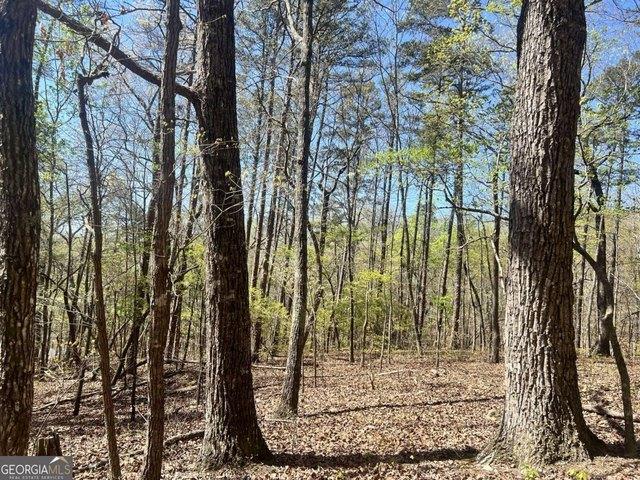 Doll Mountain Rd Lot 92, Ellijay, GA 30540