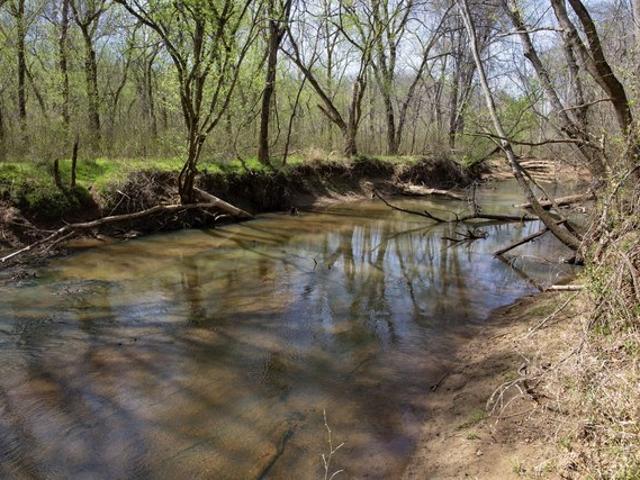Doll Branch Rd, Milton, NC 27305