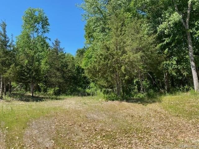 Dollar Ridge Ln Lot 5, Green Oak Township, MI 48178