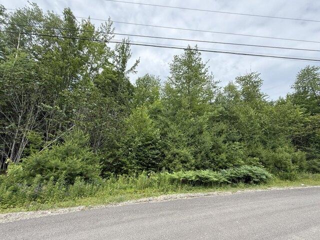 Dollard Farm Way Lot,ellsworth, Plot For Sale