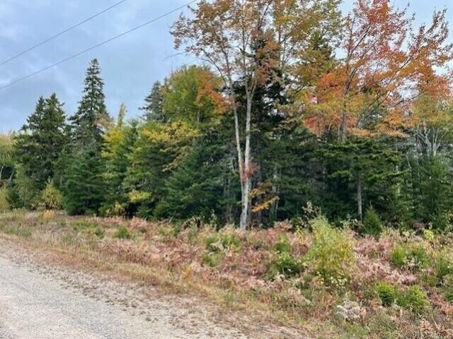 Dolly Head Estates Rd Lot, Steuben, Plot For Sale