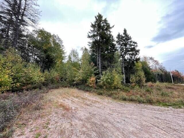 Dolly Head Estates Rd Lot, Steuben, Plot For Sale