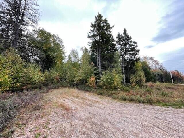 Dolly Head Estates Rd Lot 17 34, Steuben, ME 04680