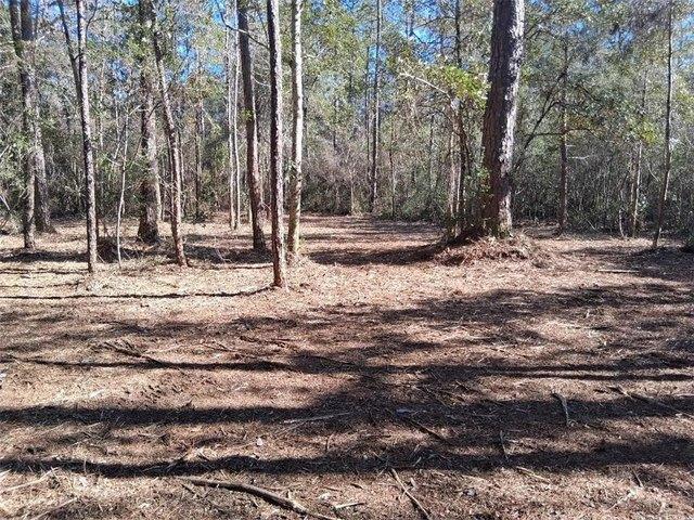 Dolphin Dr, Theodore, AL 36582