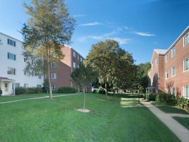Dorchester Apartments 3 Bedroom Apartment for Rent at 2040 Columbia Pike, Arlington, VA 22204 Columbia Heights South