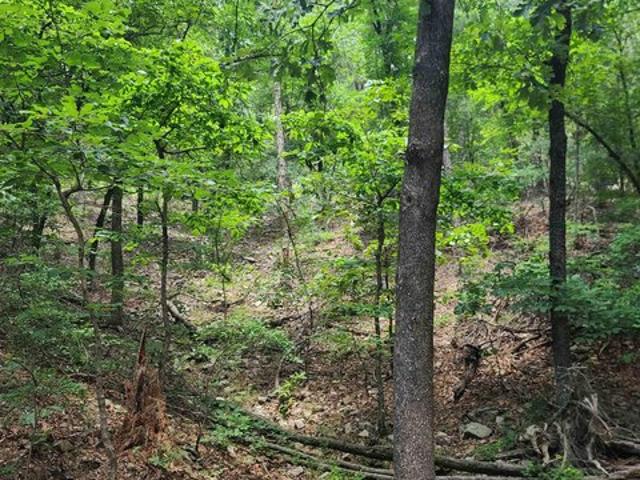 Dorothy Ln, Ward, AR 72176