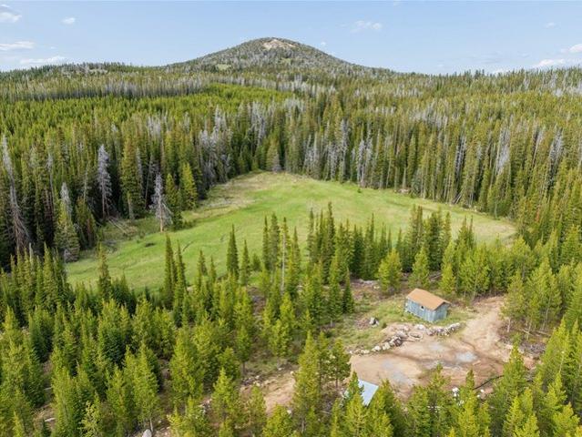 Dorothy Snow Lode, Basin, MT 59006