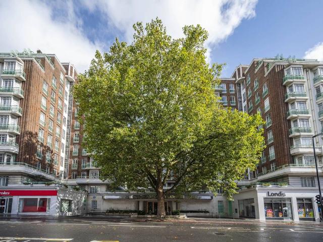 Dorset House NW1, Marylebone, London, 3 bed flat to rent, £10,800 pcm | PrimeLocation