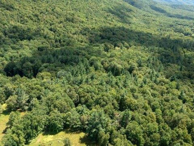 Dorset VT 05253 LS102026881