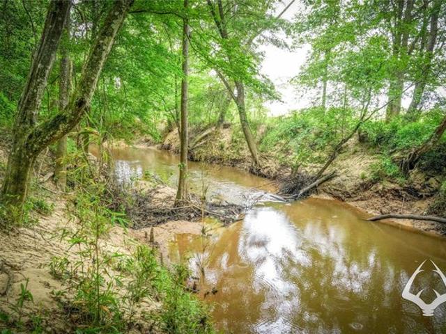 Dorsey Rd, Hemphill, TX 75948