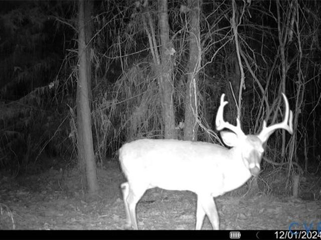 Doswell Town Rd, Lunenburg, VA 23952