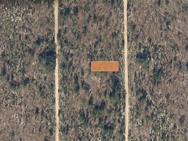 Dothan St, Interlachen, FL 32148