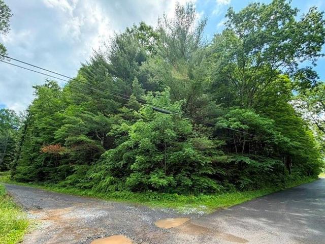 Doubletree Dr Lot 36, Chilhowie, VA 24319