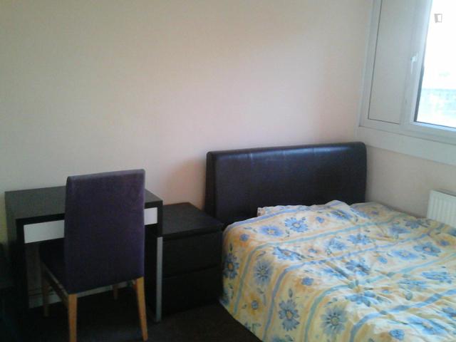 Double bedroom in a 4 bedroom flat, near the Surrey Quays Shopping Centre Has a Room