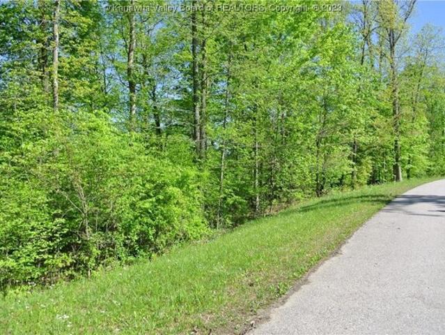 Double Eagle Dr, Charleston, Plot For Sale