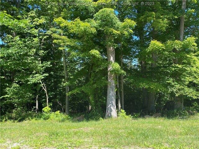 Double Eagle Dr, Charleston, Plot For Sale