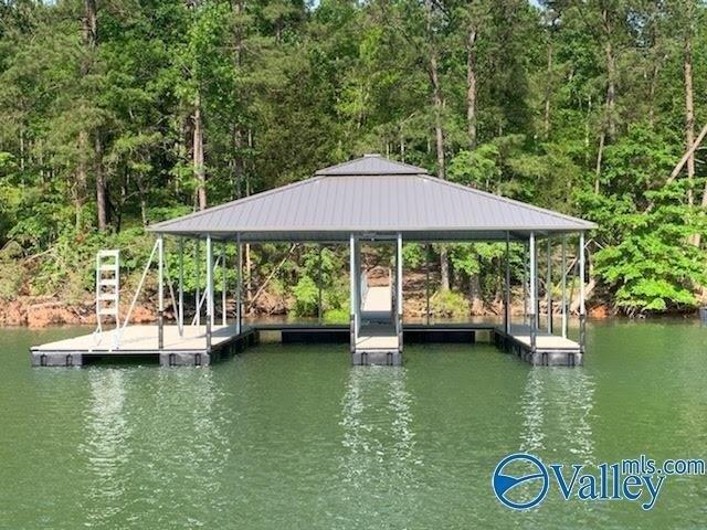 Double Springs AL 35553 93106533