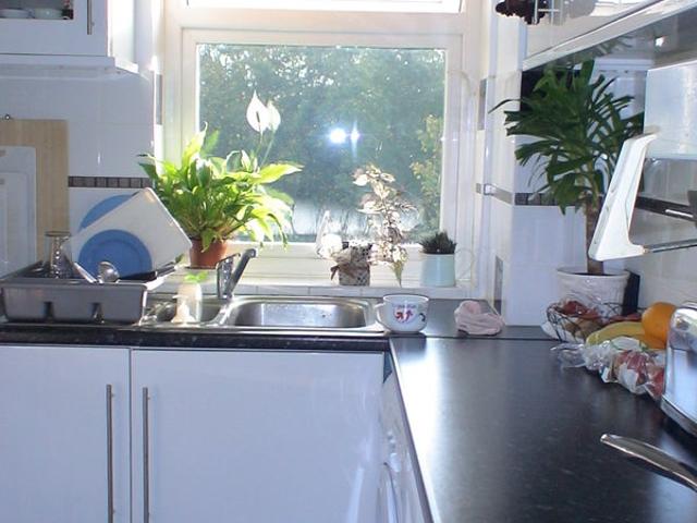 Double room in 2 bedrooms flat