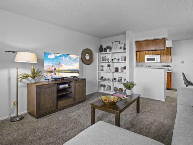 Double Tree Apts. 1 Bedroom Apartment for Rent at 200 N Mesa Hills Dr, El Paso, TX 79912 Upper Mesa Hills