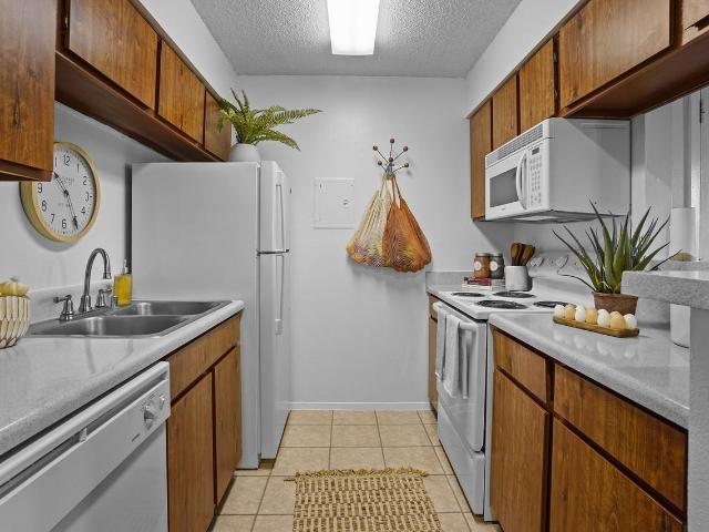 Double Tree Apts. 1 Bedroom Apartment for Rent at 200 N Mesa Hills Dr, El Paso, TX 79912 Upper Mesa Hills