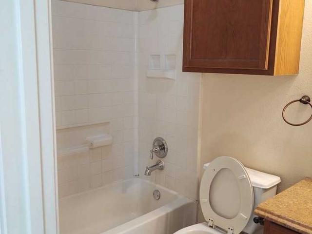 Douglas Fir, Wood Road, Orion Dr. 3 Bedroom Apartment for Rent at 3134 3134 A&B&C, 3136A,B, 3138 AB Douglas Fir, 917&921 Wood Road, 617&619 Orion Dr New Braunfels, TX 78130