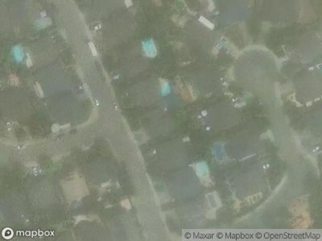 Douglas Fir Cir