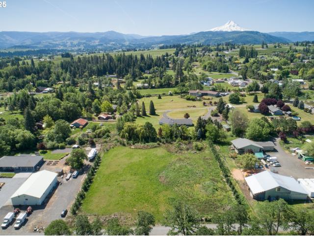 Douglas Fir DR