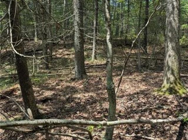 Douglas Pike, North Smithfield, Plot For Sale