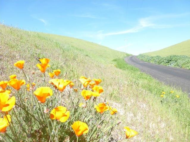 Douglas Rd Lot 28, San Miguel, CA 93451