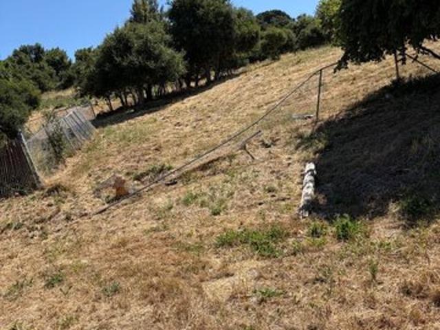 Douglas St, Hayward, CA 94544