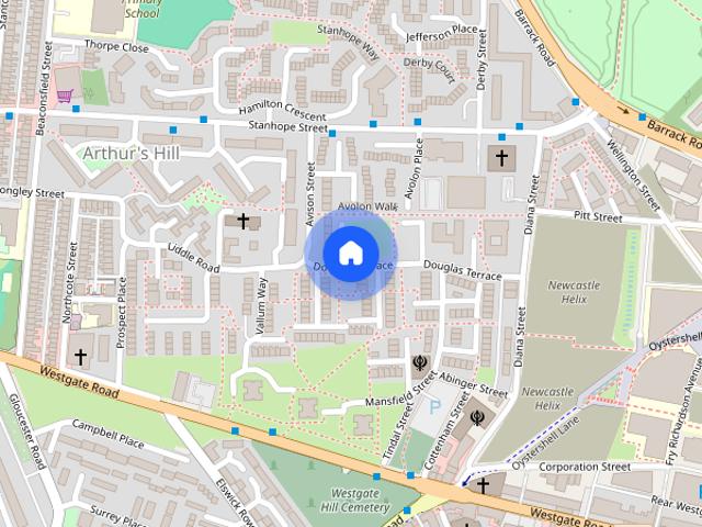 Douglas Terrace, Arthurs Hill, NE4