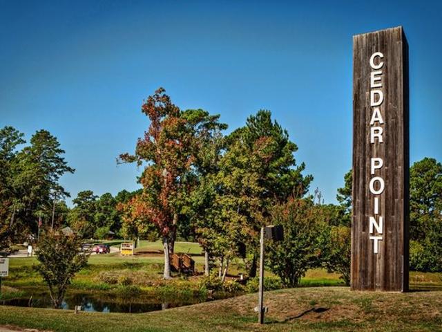Dove Is, Livingston, TX 77351
