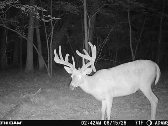 Dover Dr Lot 3 4, Adams, WI 53910