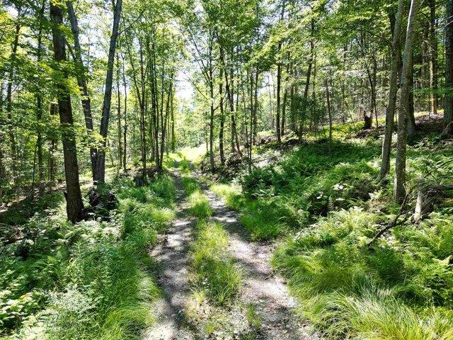 Dover Rd Lot 8, Newfane, VT 05351