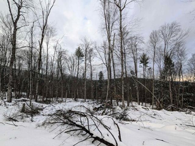 Dover Rd, Newfane, Plot For Sale