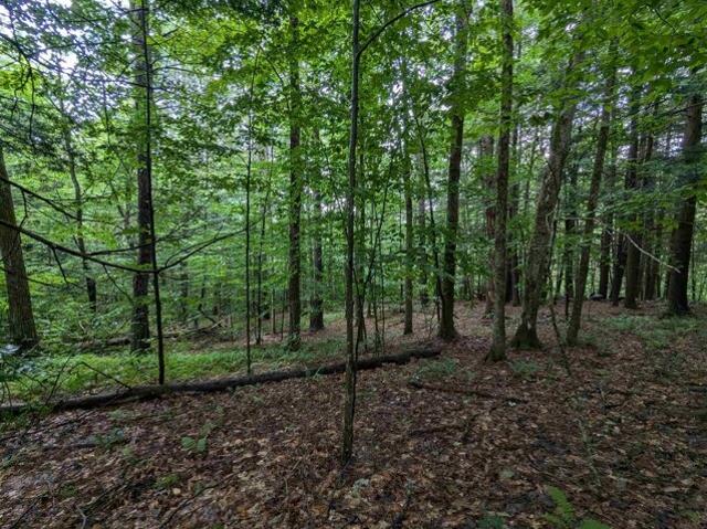 Dover Rd, Newfane, Plot For Sale