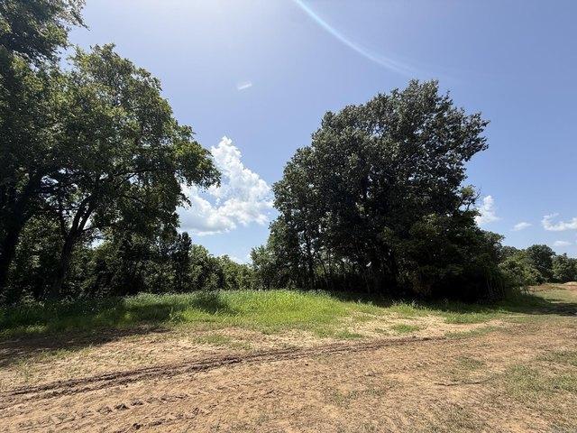 Down Riv Lot 49, Heber Springs, AR 72543