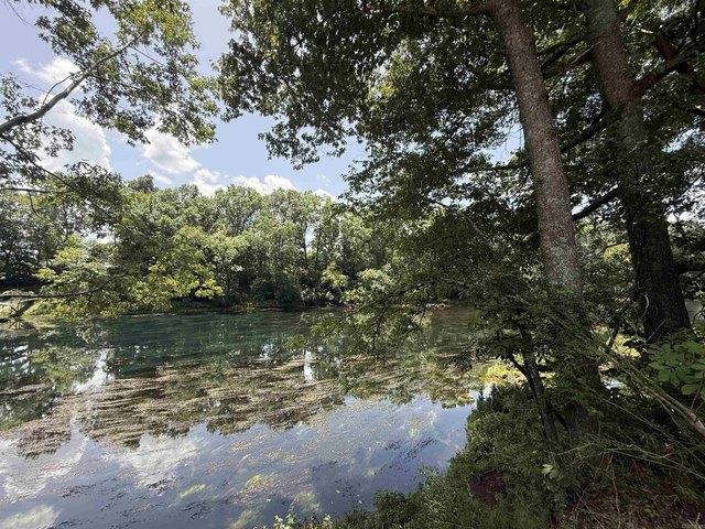 Down Riv Lot 61, Heber Springs, AR 72543