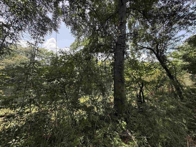 Down Riv Lot 62, Heber Springs, AR 72543
