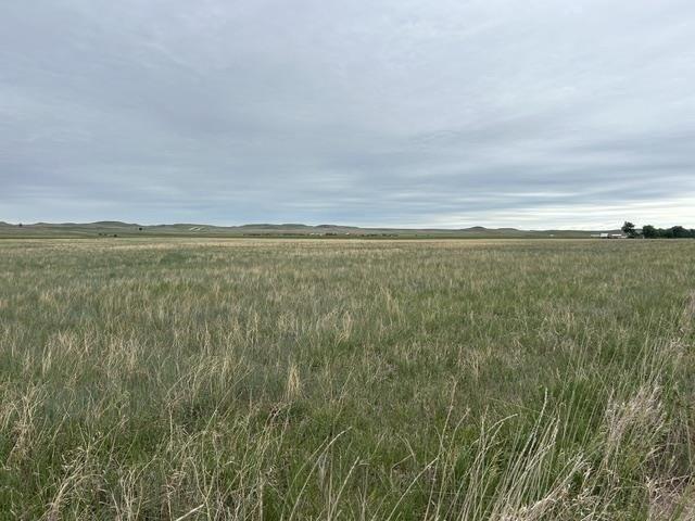 Downen 41 Acres Rd Lot 29, Hermosa, SD 57744