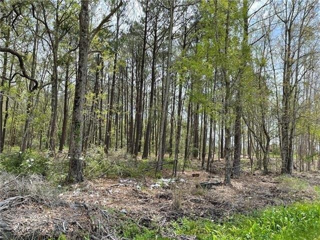 Downey Rd Lot 0, Slidell, LA 70461