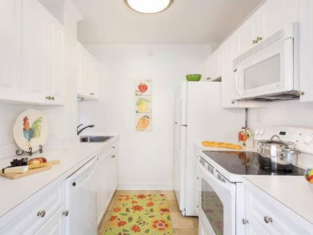 Downtown 1BR Sublet June