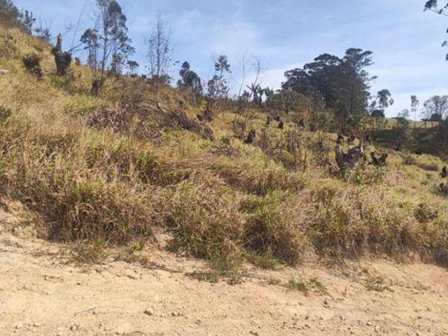 Ds 1000m2 em São Roque perfeito pra sua área de lazer!