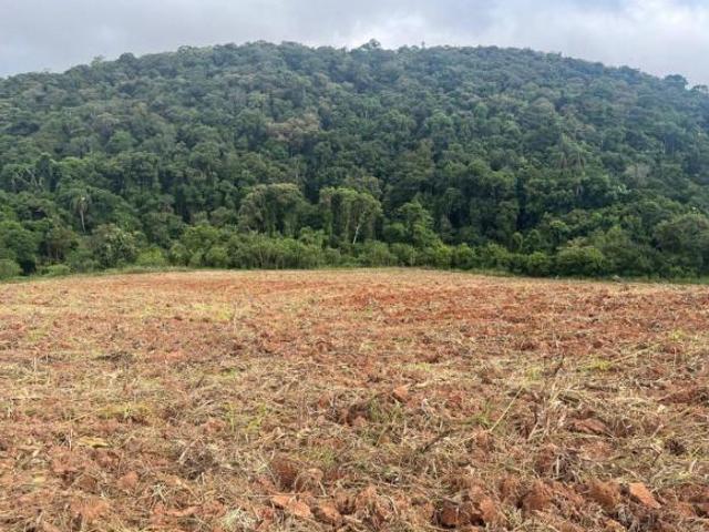 Ds Terreno com topografia incrível!