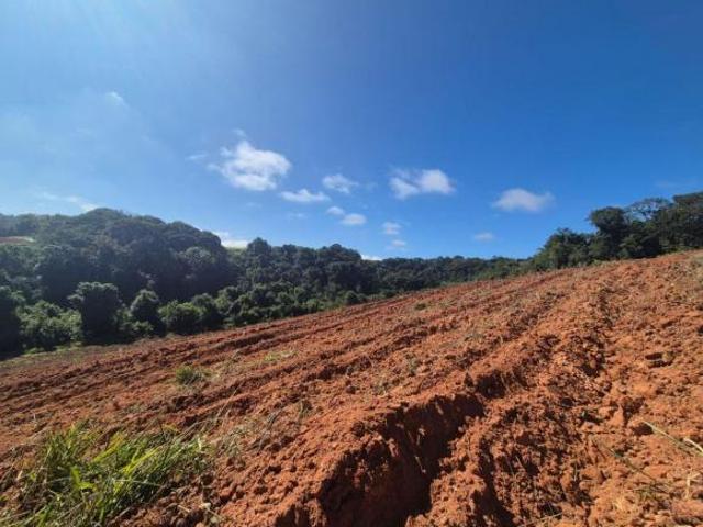 Ds terreno de 1000m2 com preço promocional!