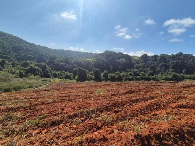 Ds terreno de 1000m2 com topografia excelente!