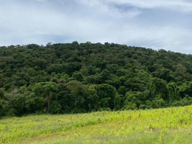 Ds terreno de 1000m2 o lugar perfeito pra sua tão sonhada chacrinha!