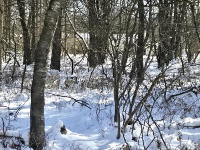 Dp Blackfoot Trl, Albrightsville, Plot For Sale